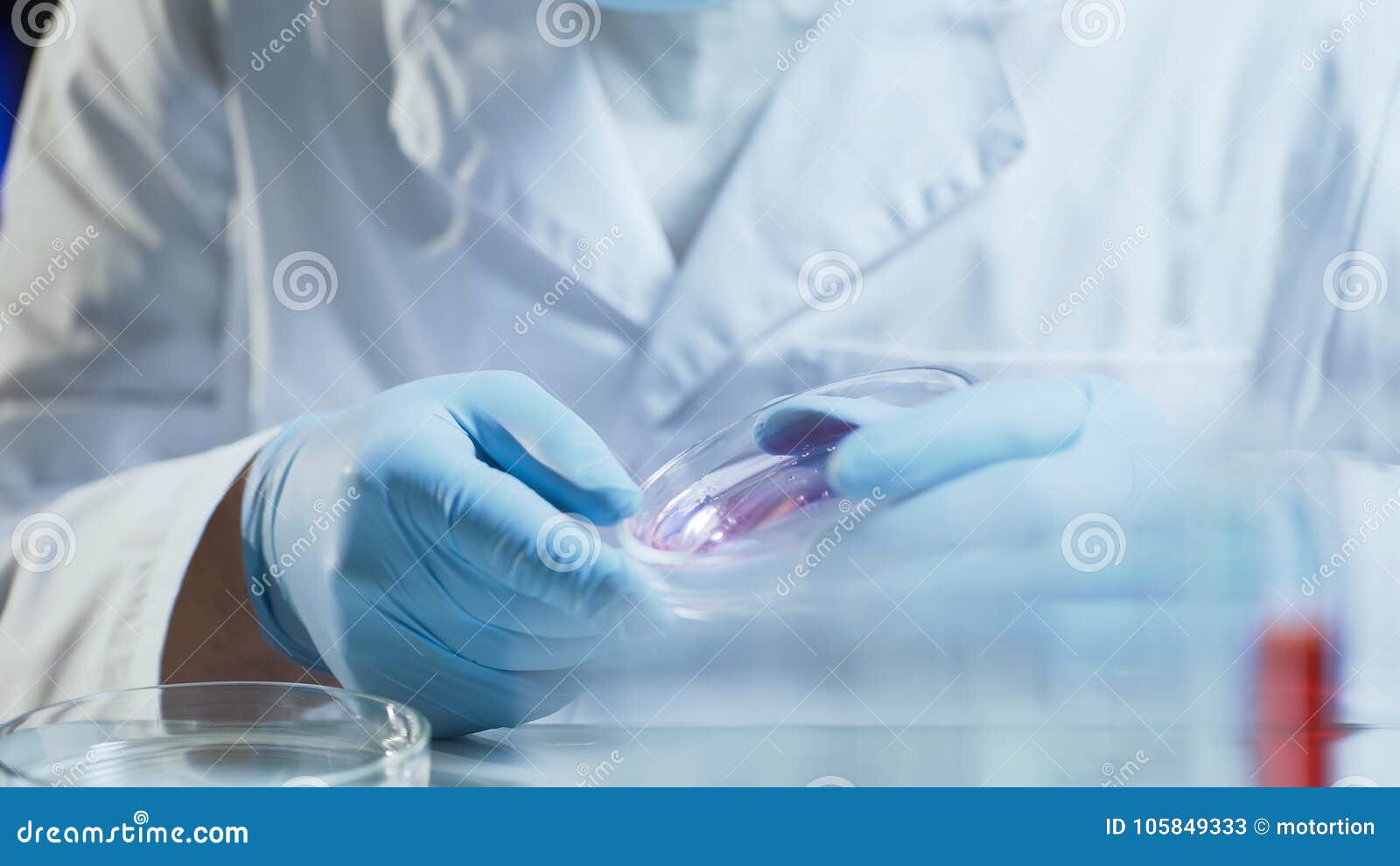 Laboratory Worker Conducting Research Testing Consistency of Biological ...