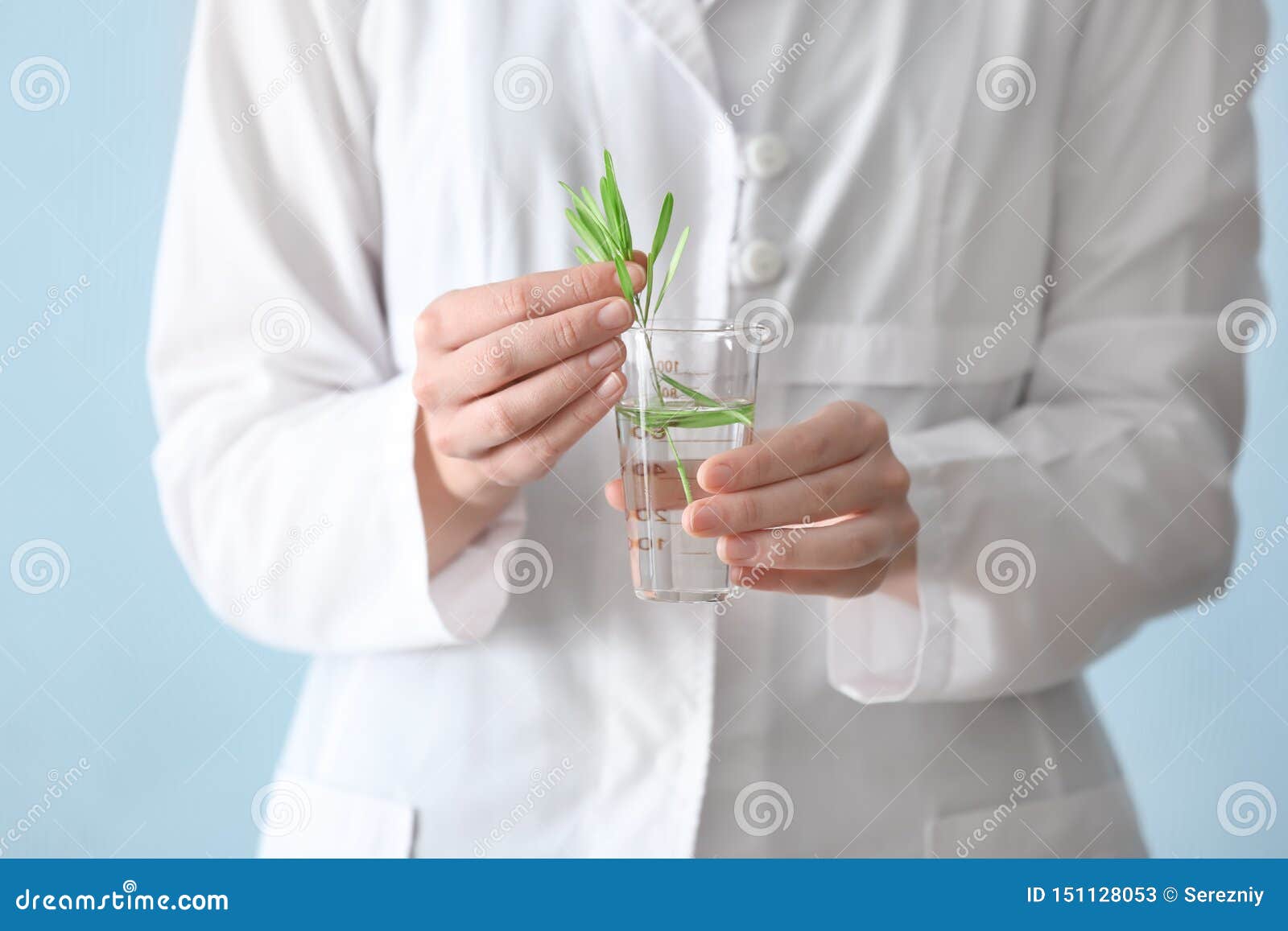 Beaker With Plant And Microscope On Table In Laboratory. Stock ...