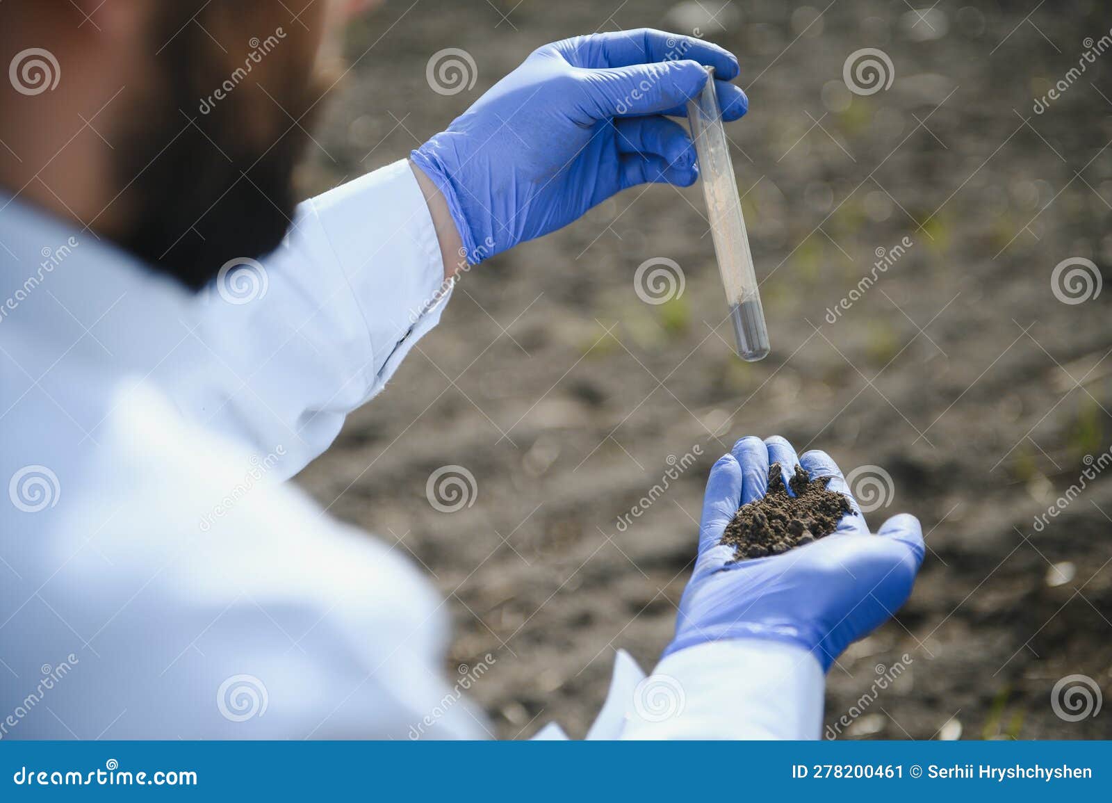 Laboratory Worker Holding Professional Glassware and Testing Black Soil ...