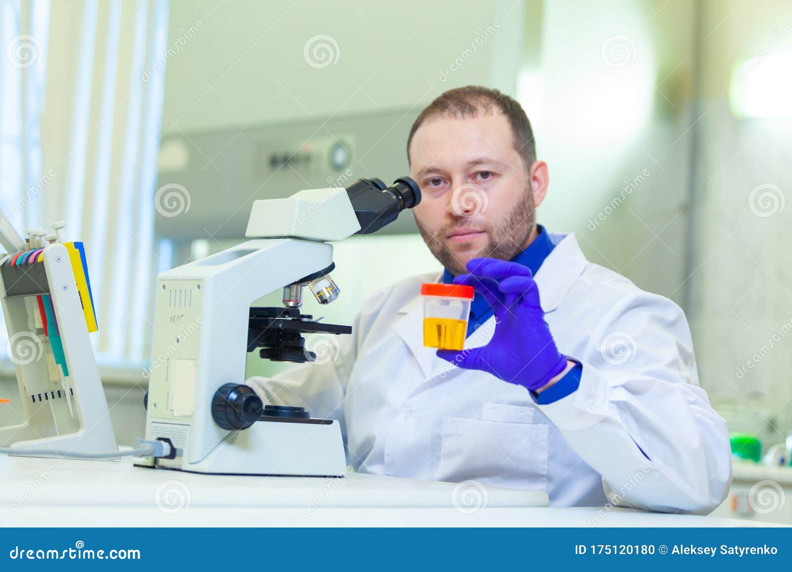 Laboratory Worker Performing Urinalysis Using Microscope and Laboratory ...