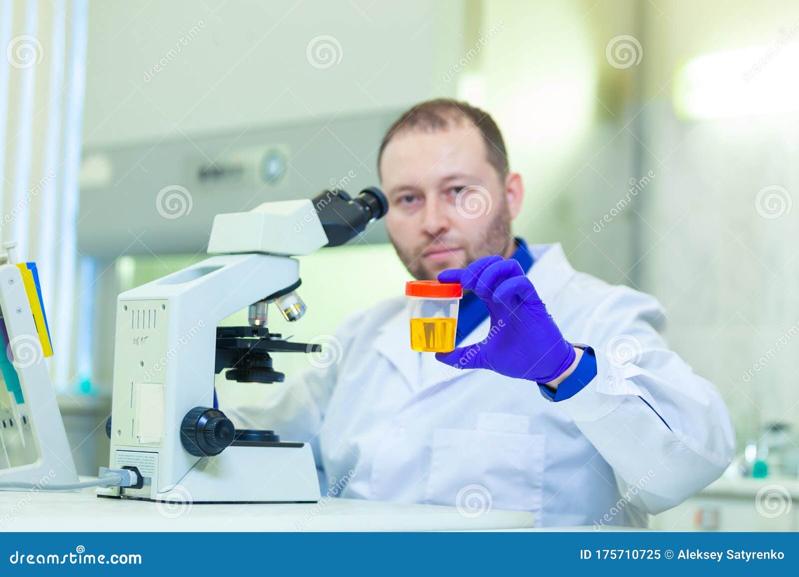Laboratory Worker Performing Urinalysis Using Microscope and Laboratory ...