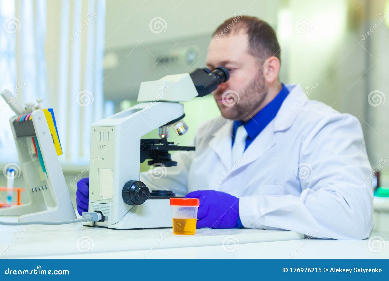 Laboratory Worker Performing Urinalysis Using Microscope and Laboratory ...
