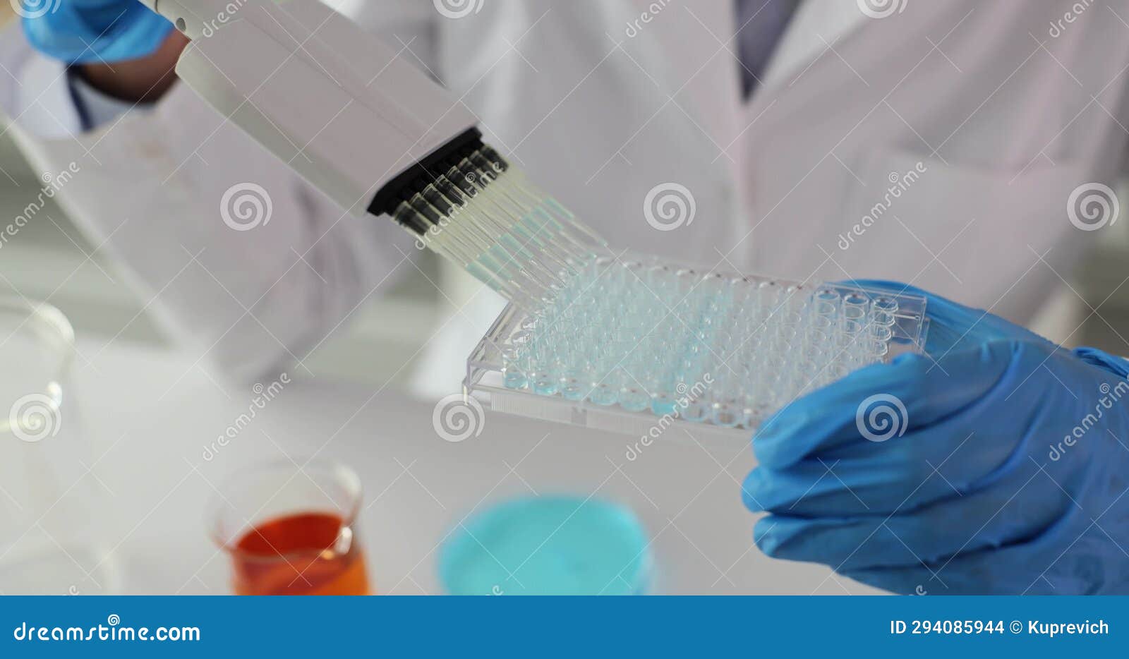 Laboratory Worker Pours Liquid Samples into Glass Test Tubes Using ...