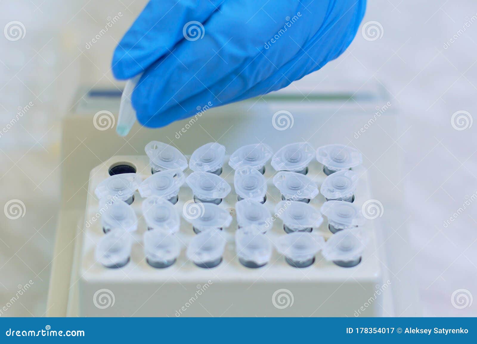Laboratory Worker Puts Samples into a Tray Making Analysis for I Stock ...
