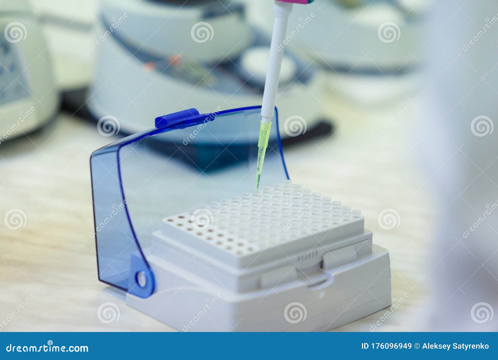 Laboratory Worker Puts Samples into a Tray Making Analysis for Immunity ...