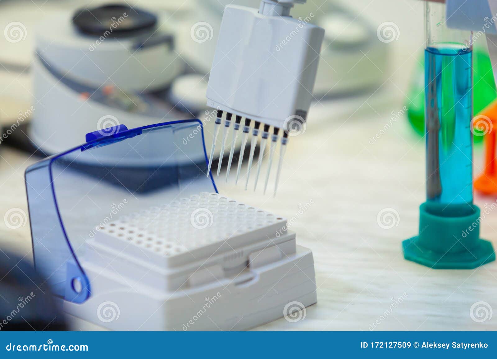 Laboratory Worker Puts Samples into a Tray Making Analysis for Immunity ...