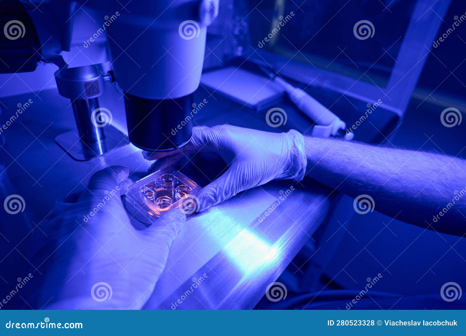 Laboratory Worker Researching Human Stem Cells in Cell Culture Dish ...