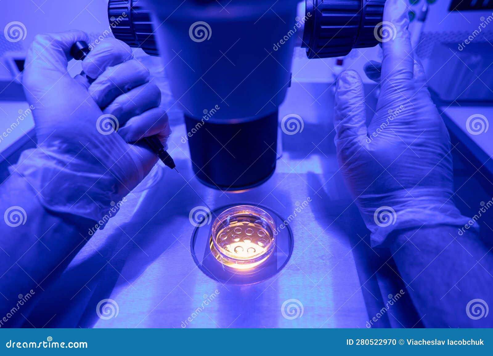 Laboratory Worker Studying Cells From Embryo Under Microscope Stock ...