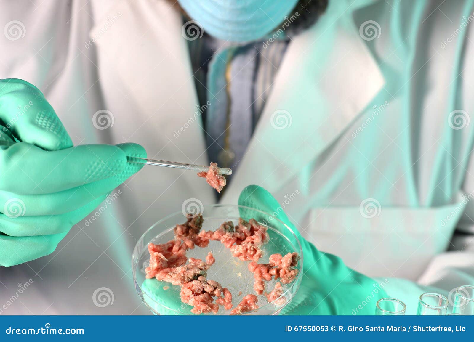 Laboratory Worker Testing Meat Stock Image - Image of analysis ...