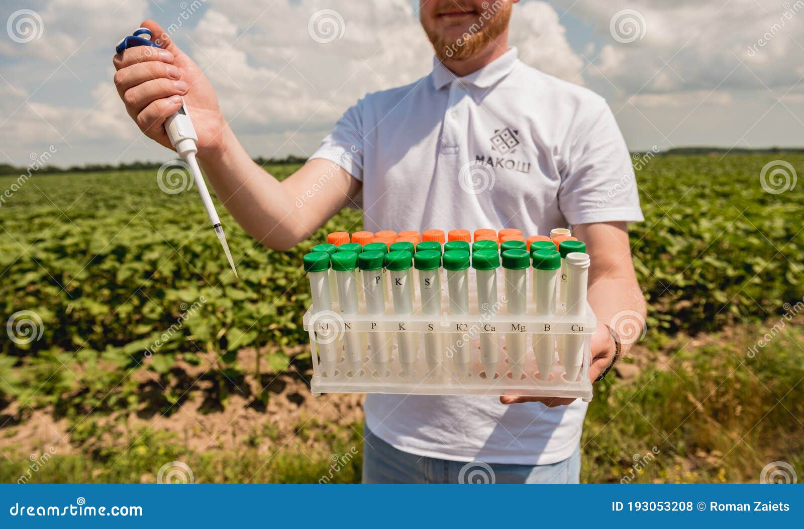 Laboratory Worker Testing Plant Sprouts before Harvest in the Field ...