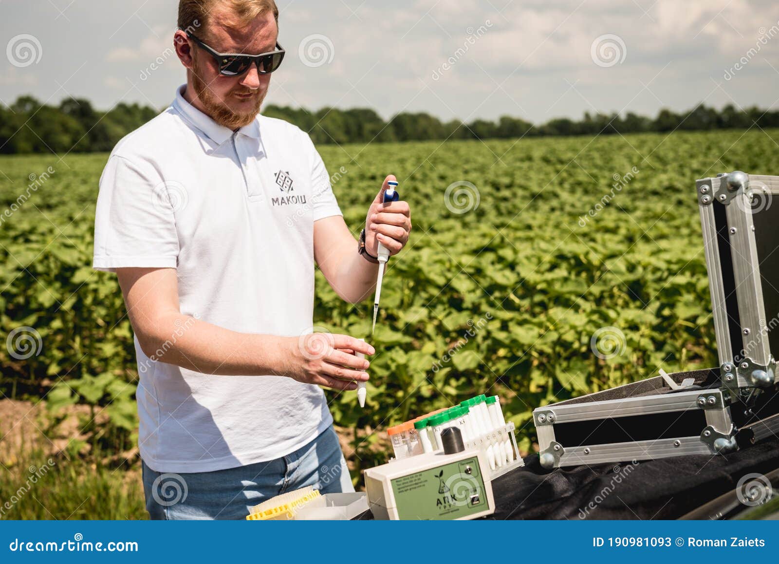 Laboratory Worker Testing Plant Sprouts before Harvest in the Field ...