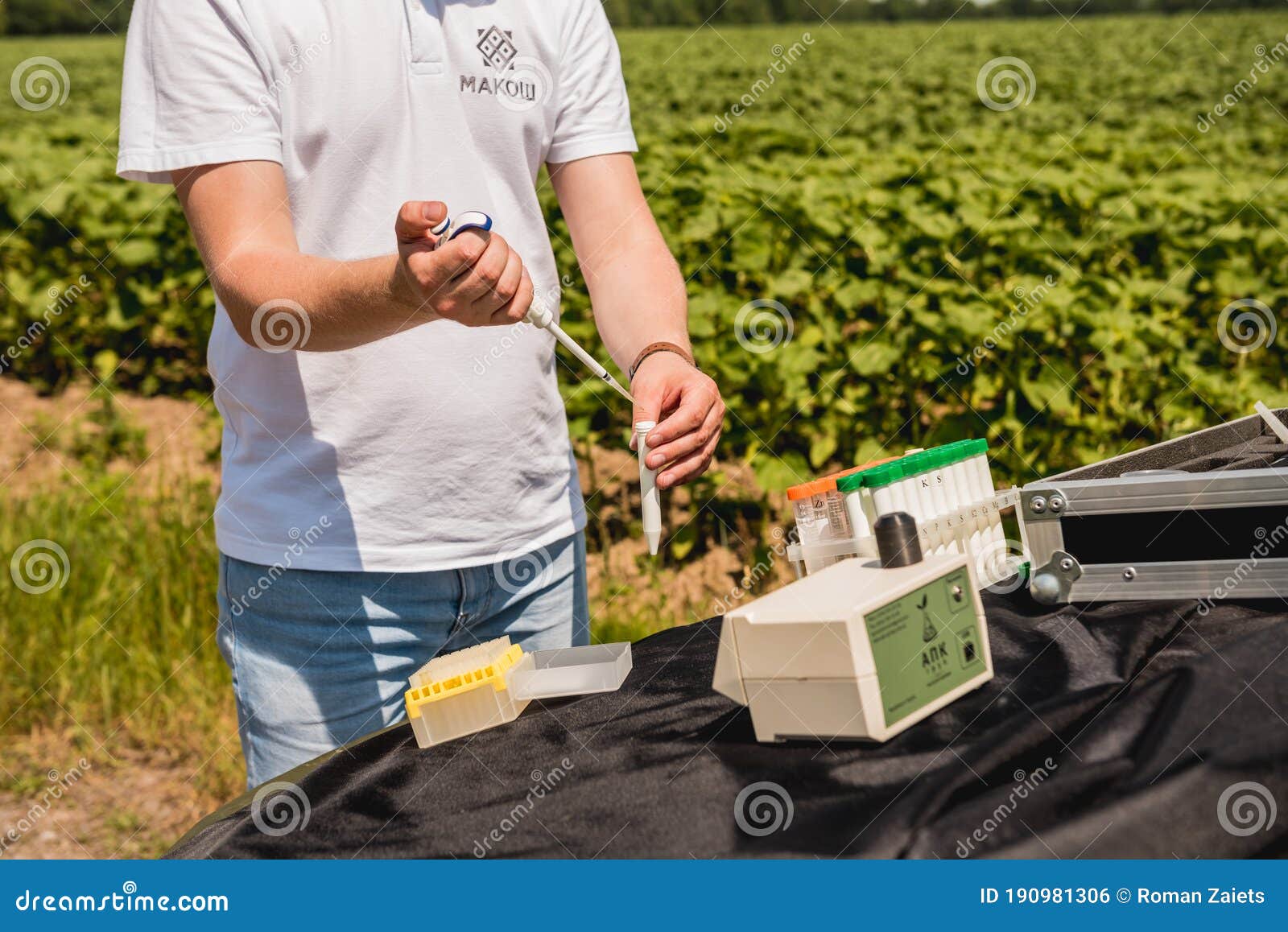 Laboratory Worker Testing Plant Sprouts before Harvest in the Field ...