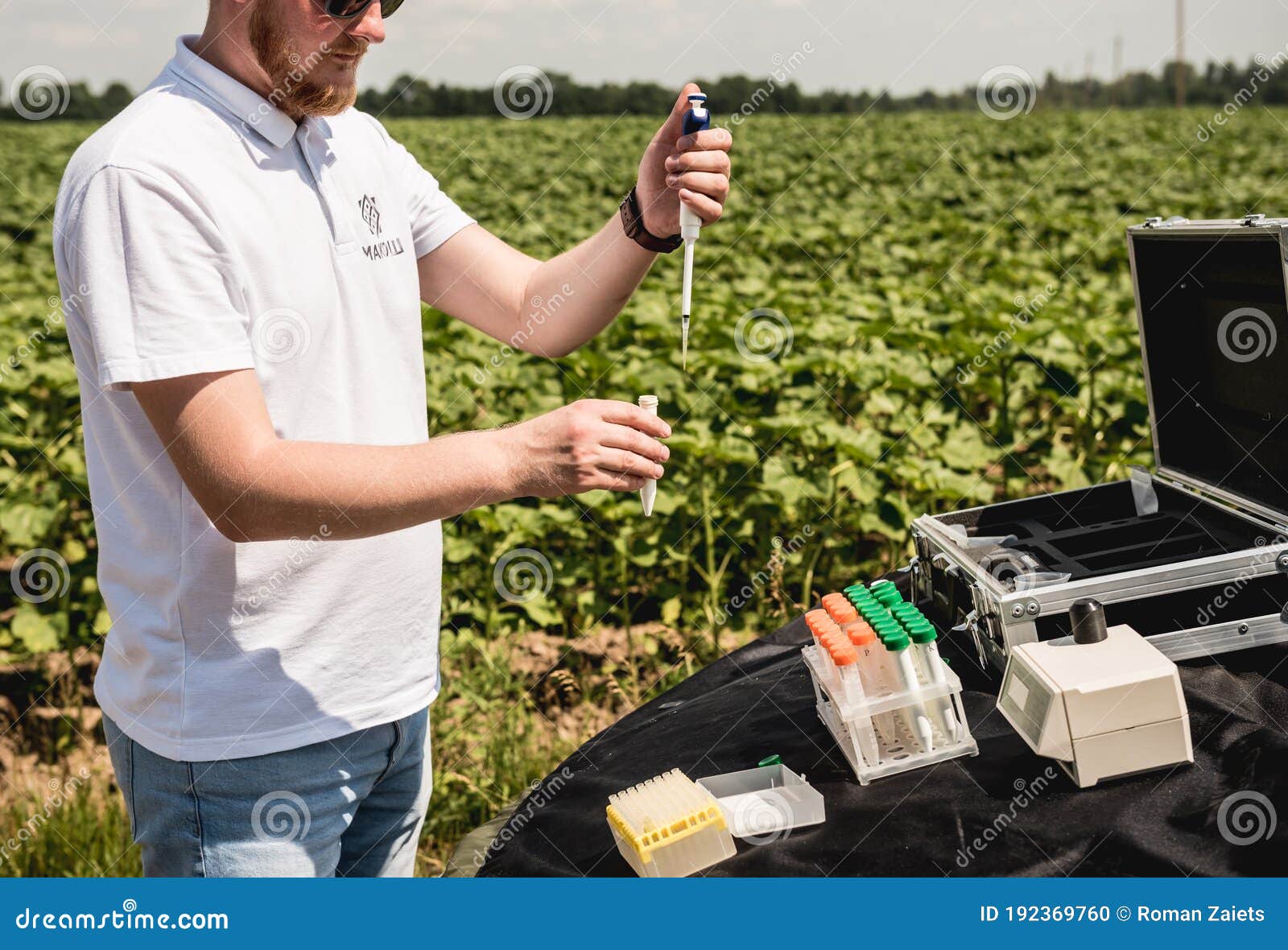 Laboratory Worker Testing Plant Sprouts before Harvest in the Field ...