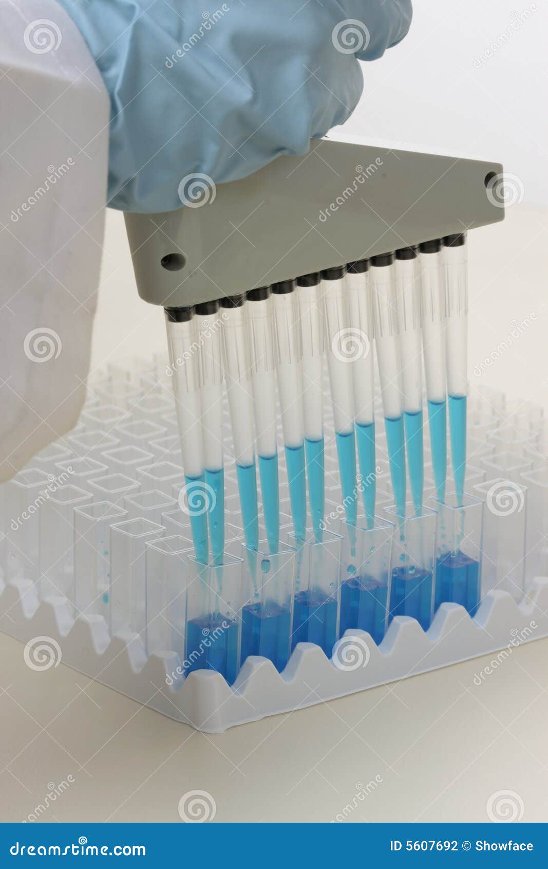 Laboratory Worker Using Pipette. Stock Photo - Image of laboratory ...