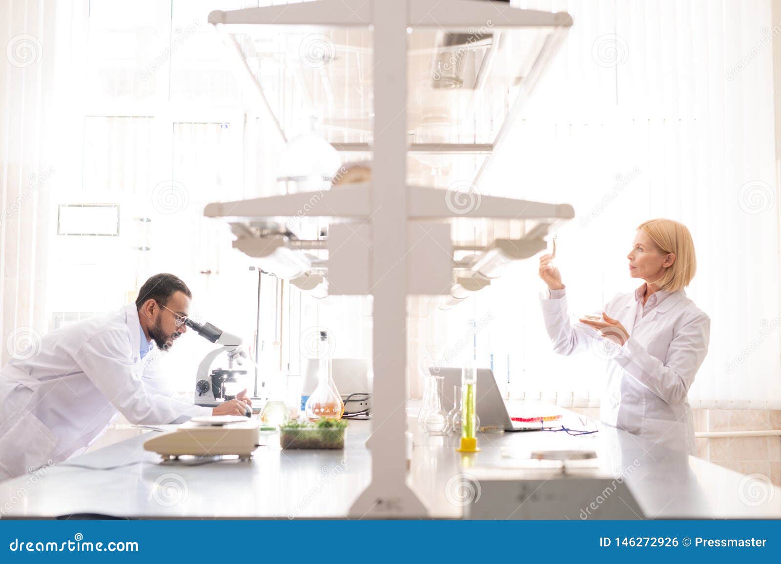 Laboratory Workers Analyzing Samples Stock Photo - Image of women ...