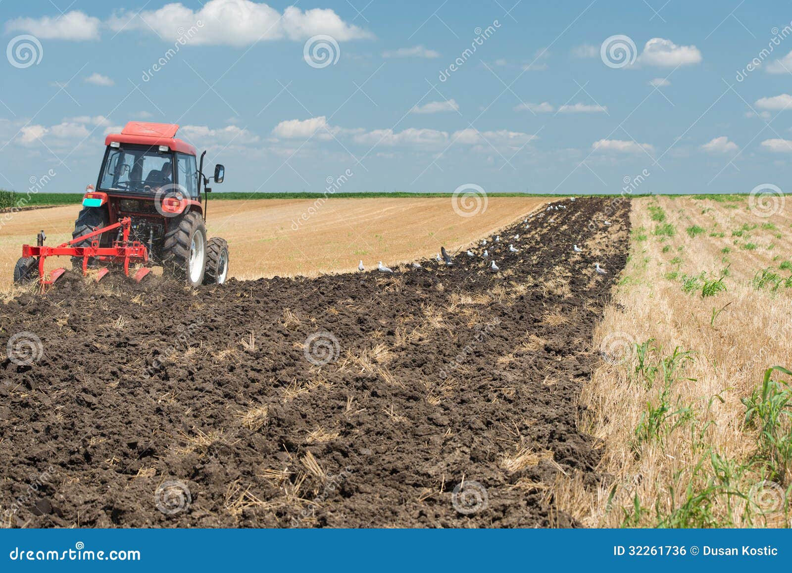 Labourage de tracteur photo stock. Image du campagne - 32261736