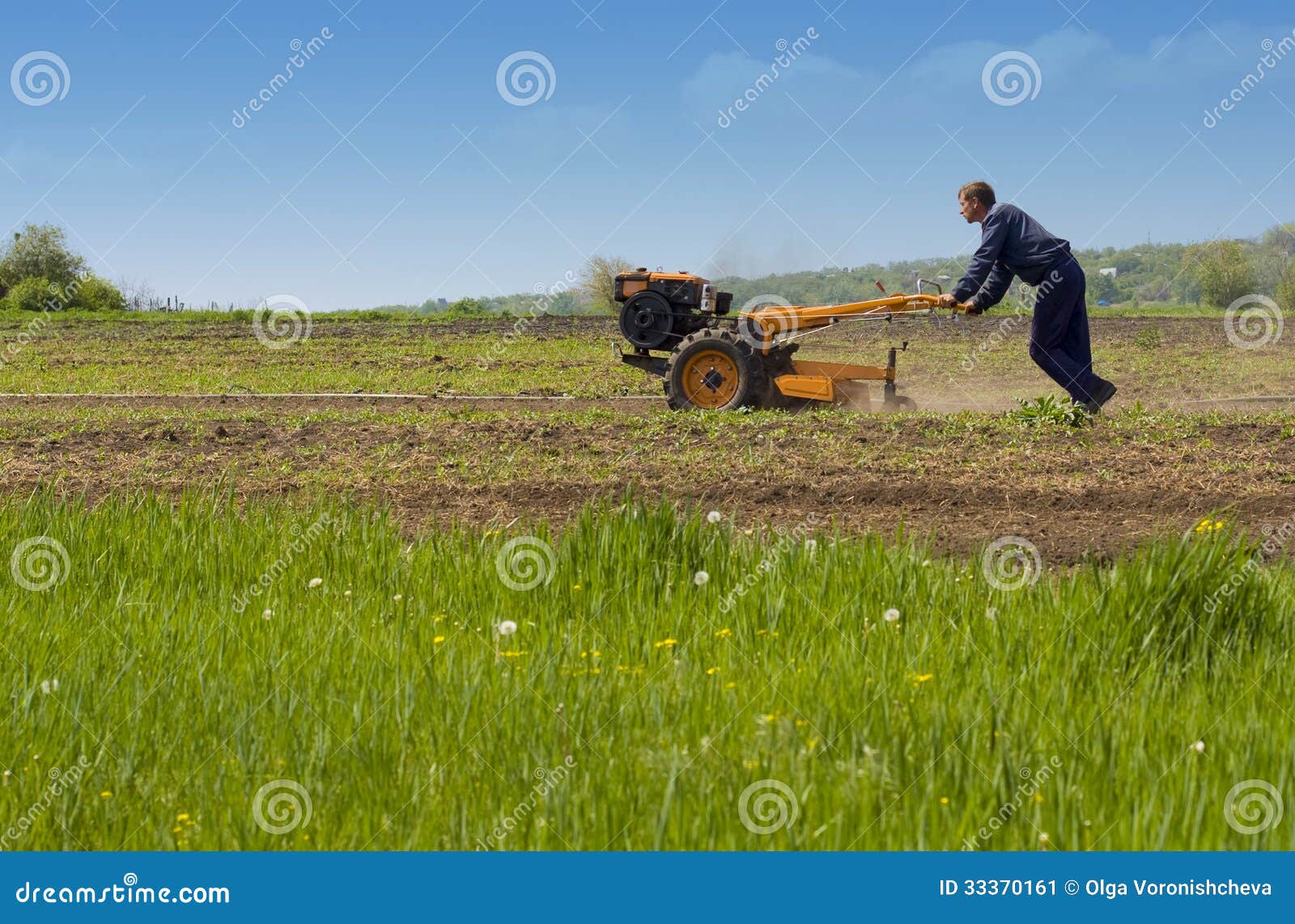 Laboureur image stock. Image du diligence, végétation - 33370161