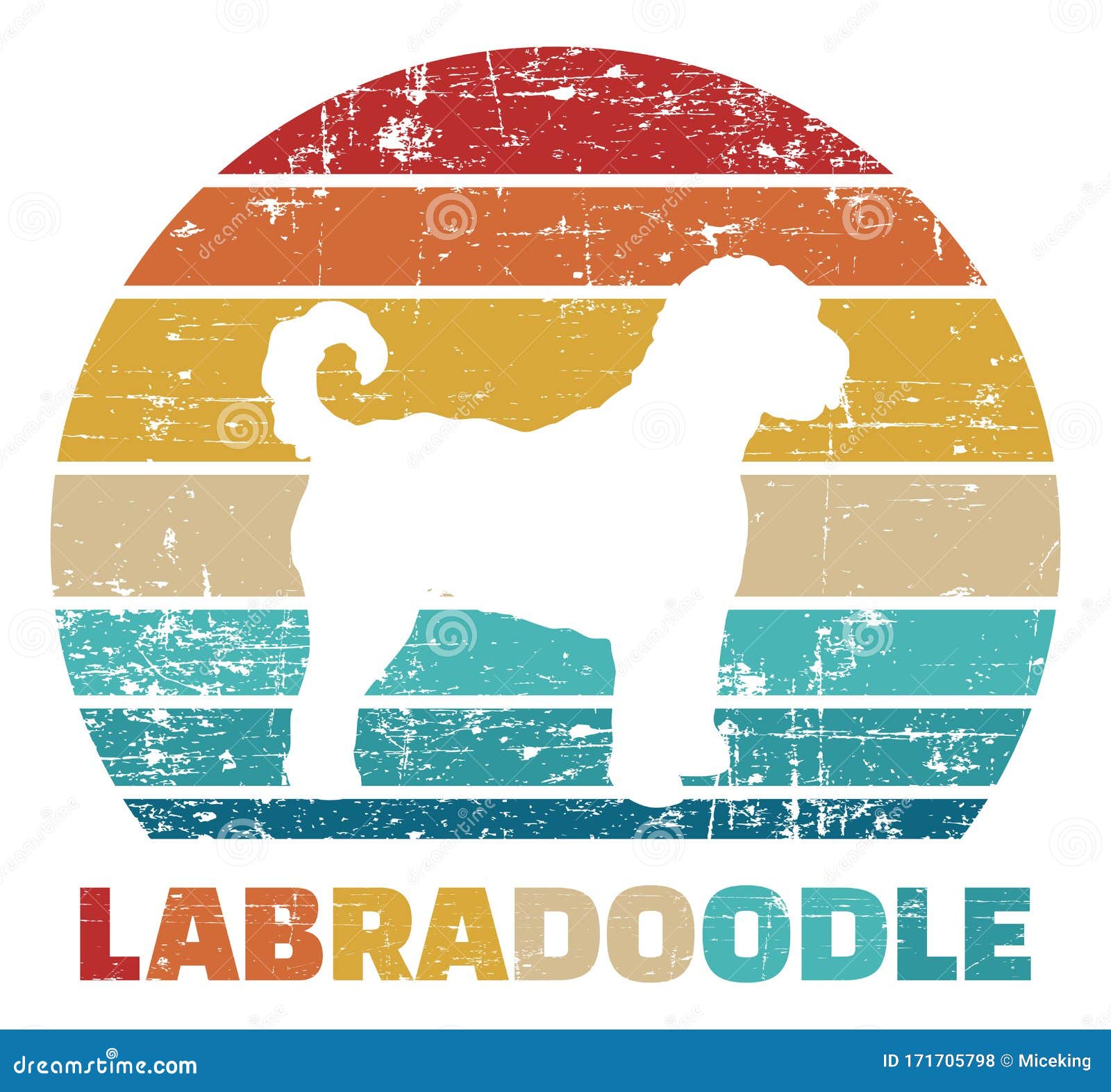 Labradoodle vintage color stock vector. Illustration of canine - 171705798