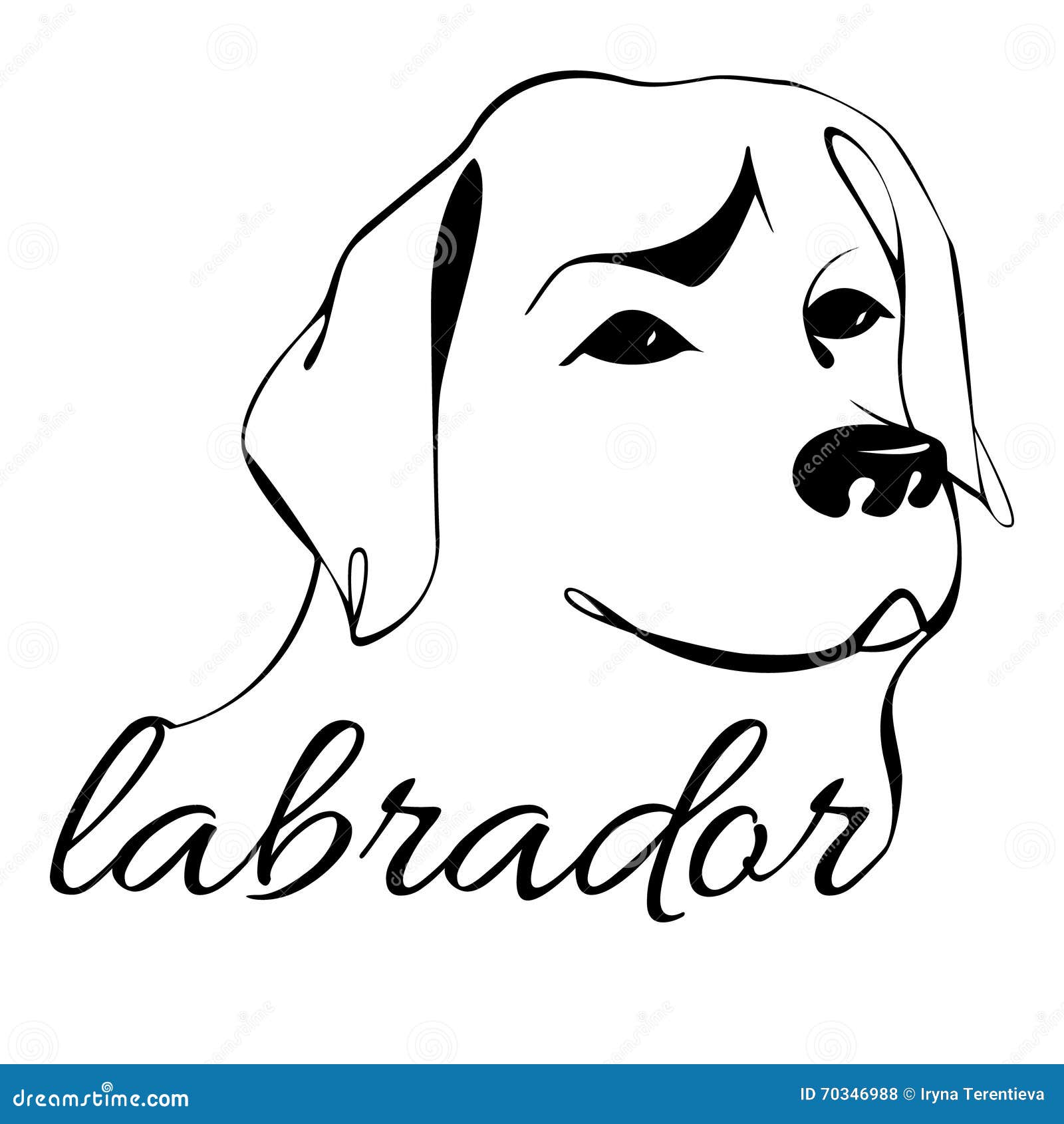 Labrador dog head stock vector. Illustration of element - 70346988