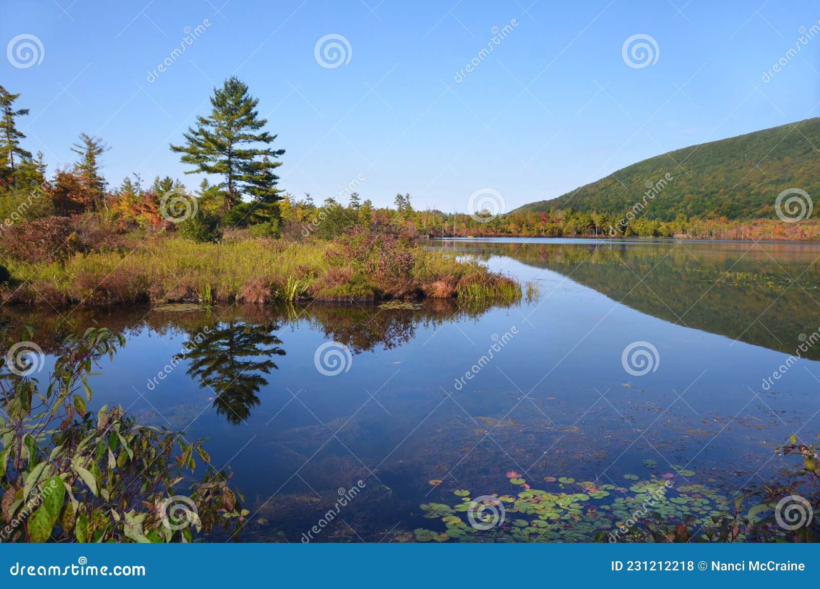 Labrador Pond Reflections in Truxton during Early Fall Season Stock ...