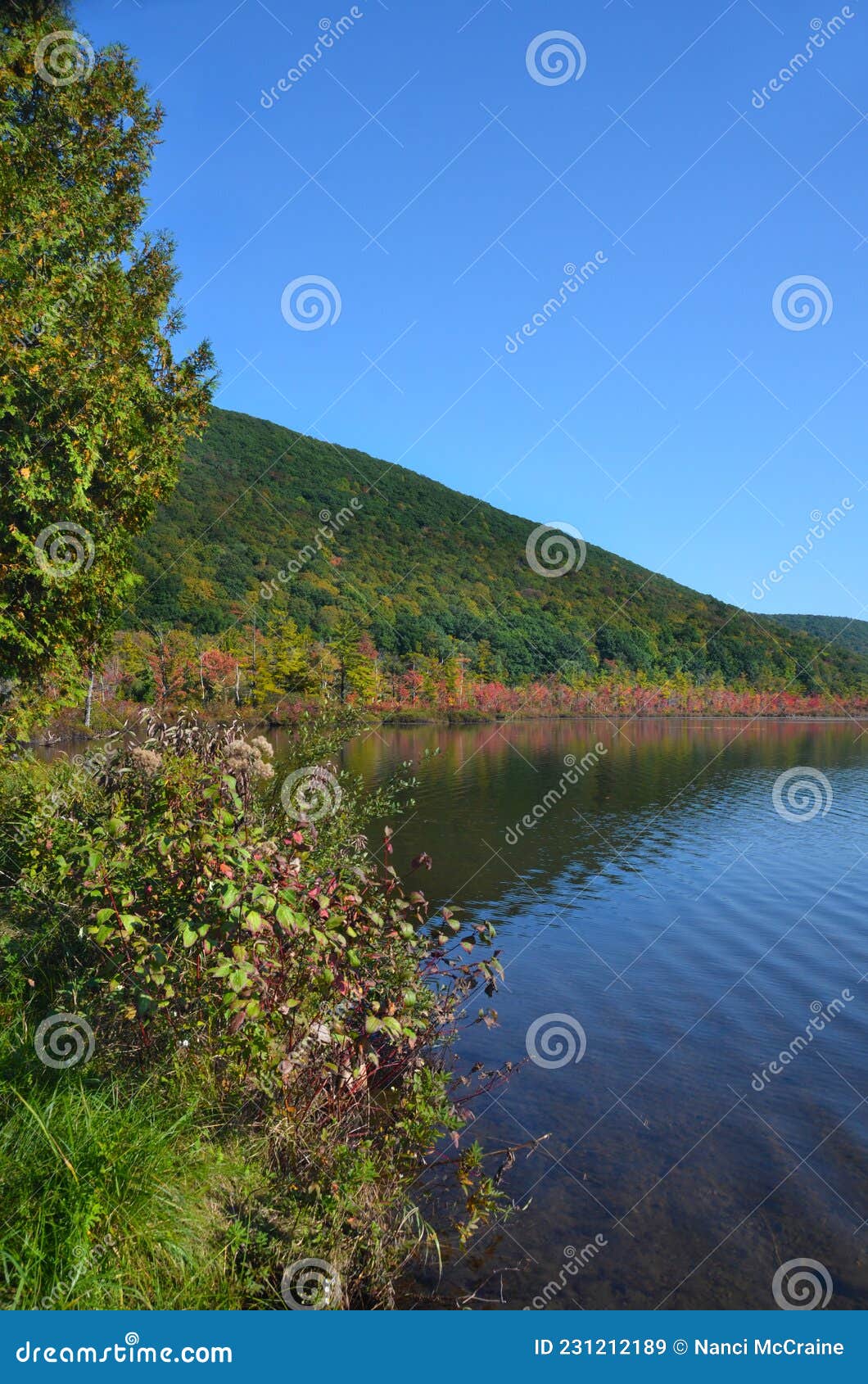 Labrador Pond Reflections Truxton during Early Fall Season Vertical ...