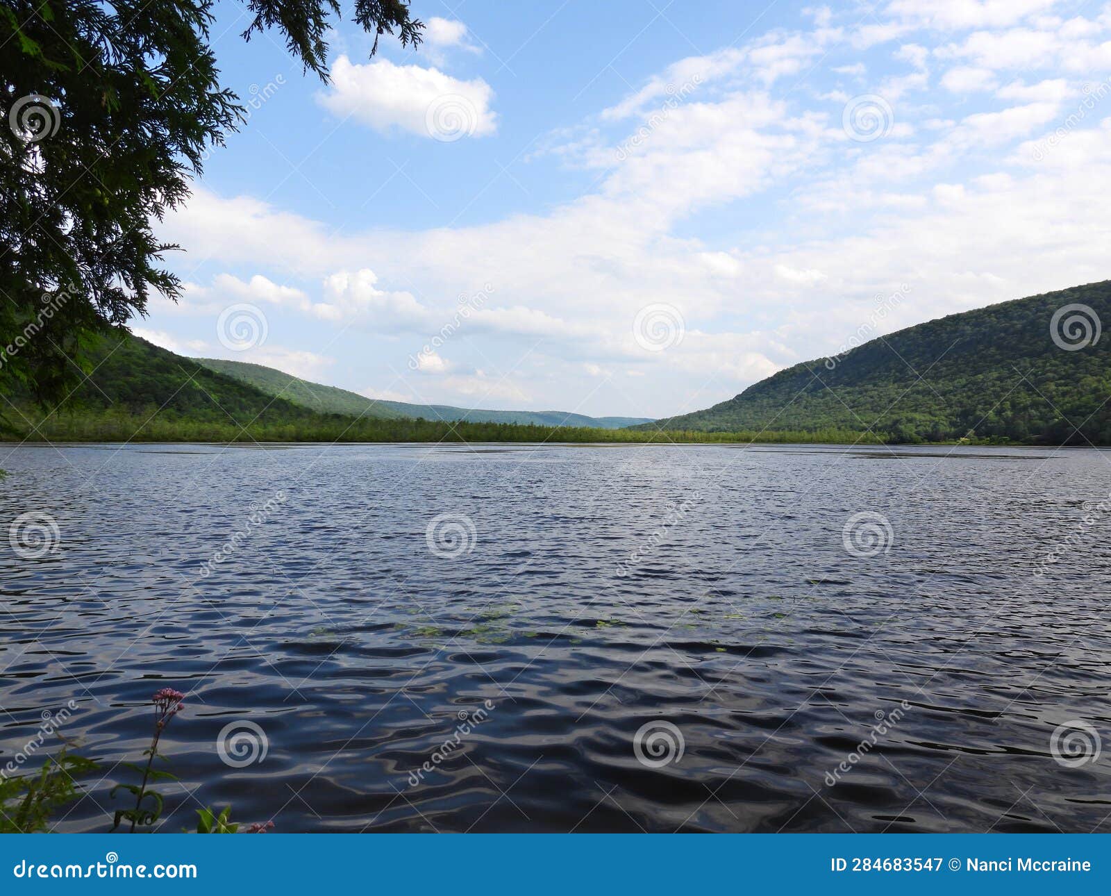 Labrador Pond in Summer in NYS Labrador Hollow Unique Area Stock Image ...