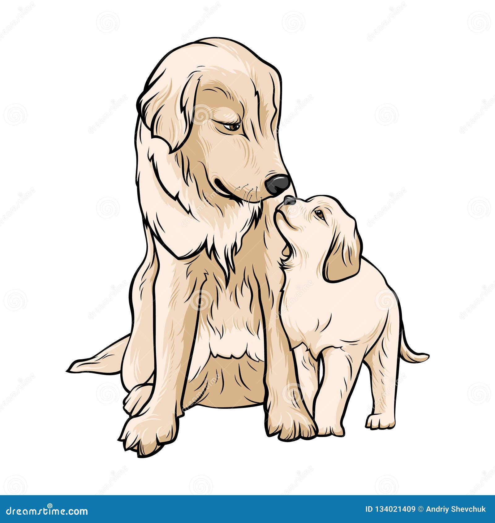 Labrador with a Puppy Sitting and Looking at Each Other Stock Vector ...