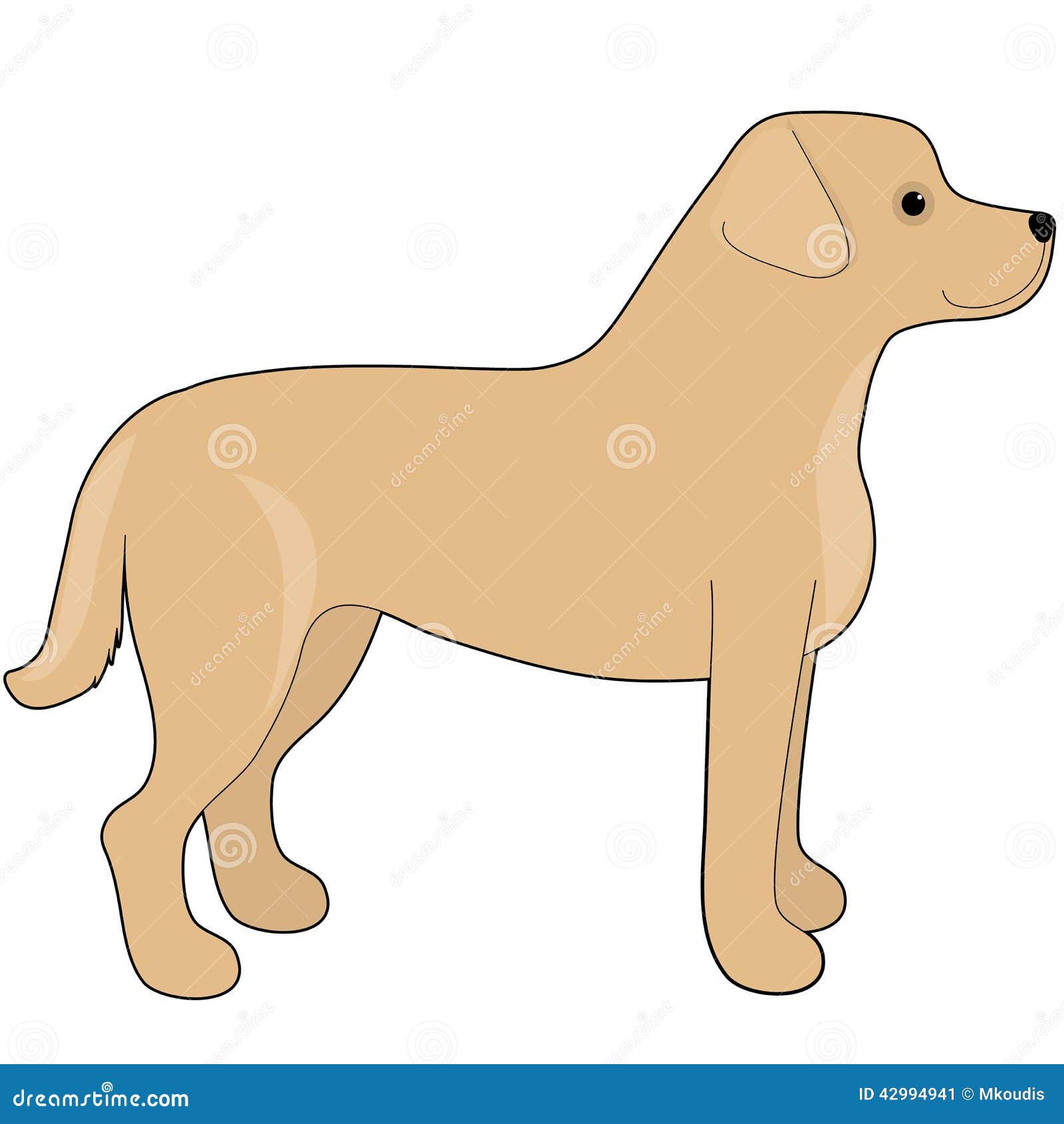 Labrador Retriever stock vector. Illustration of nose - 42994941
