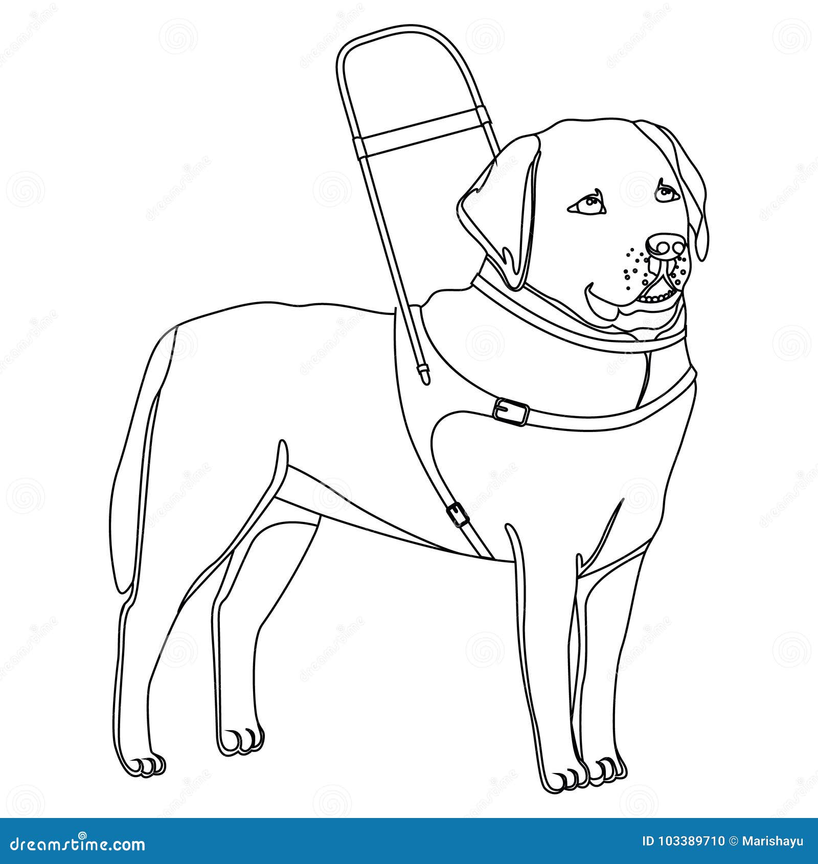 Labrador Retriever Guide Dog Outline Royalty-Free Cartoon ...