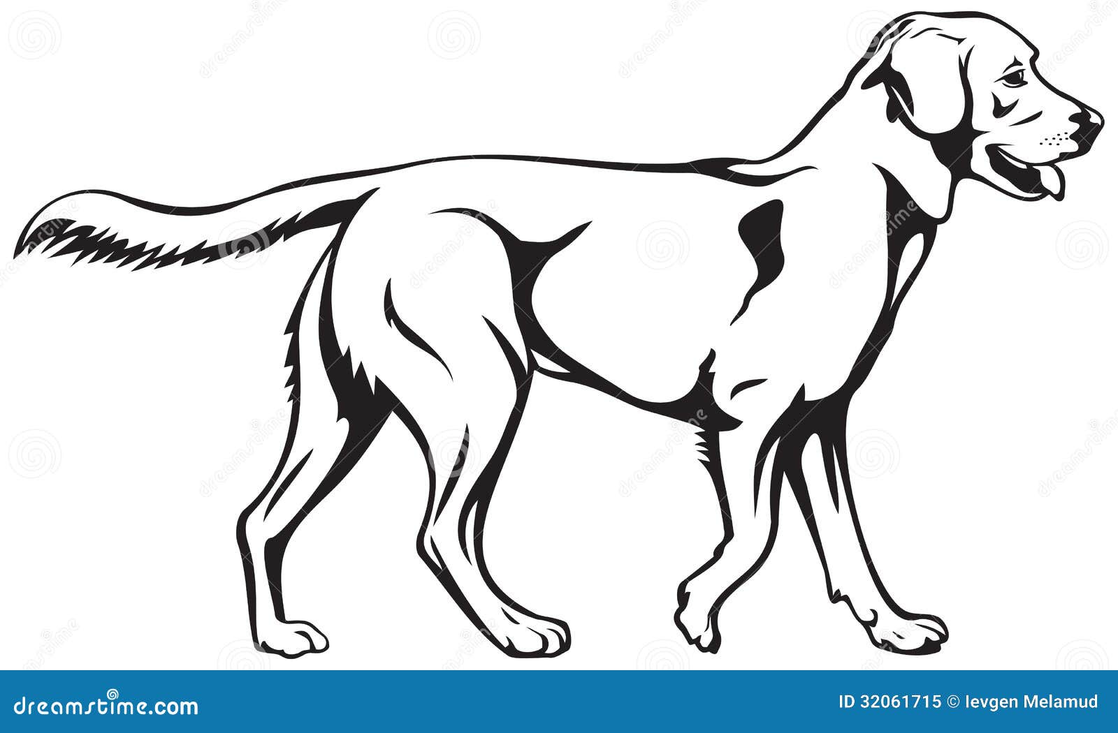 Labrador Retriever-Hunderasse Vektor Abbildung - Illustration von hund ...