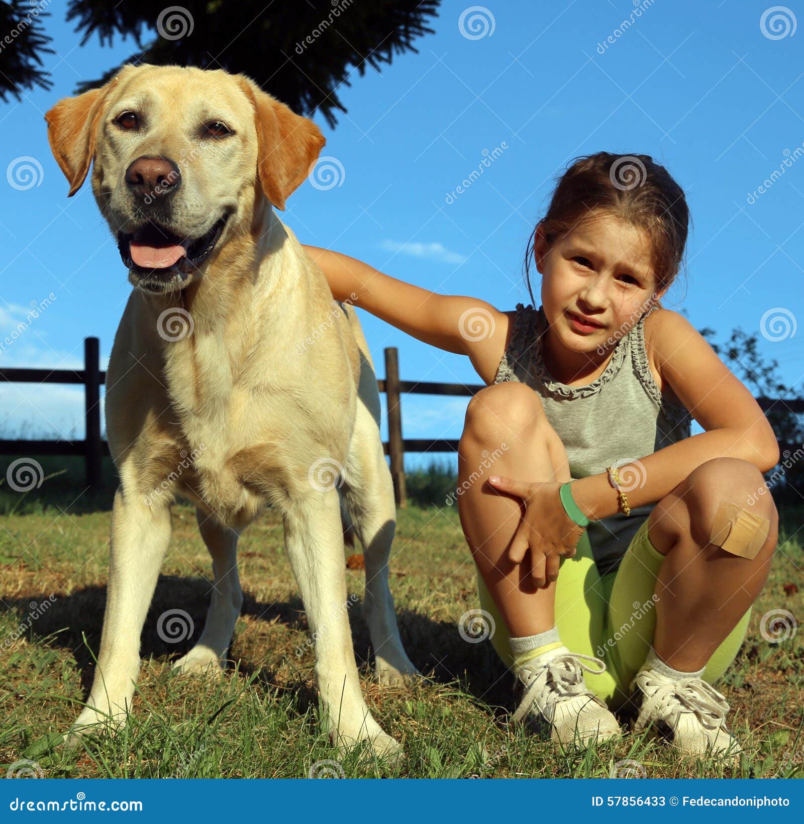 Labrador Retriever with Lilttle Girl in the Park Stock Image - Image of ...