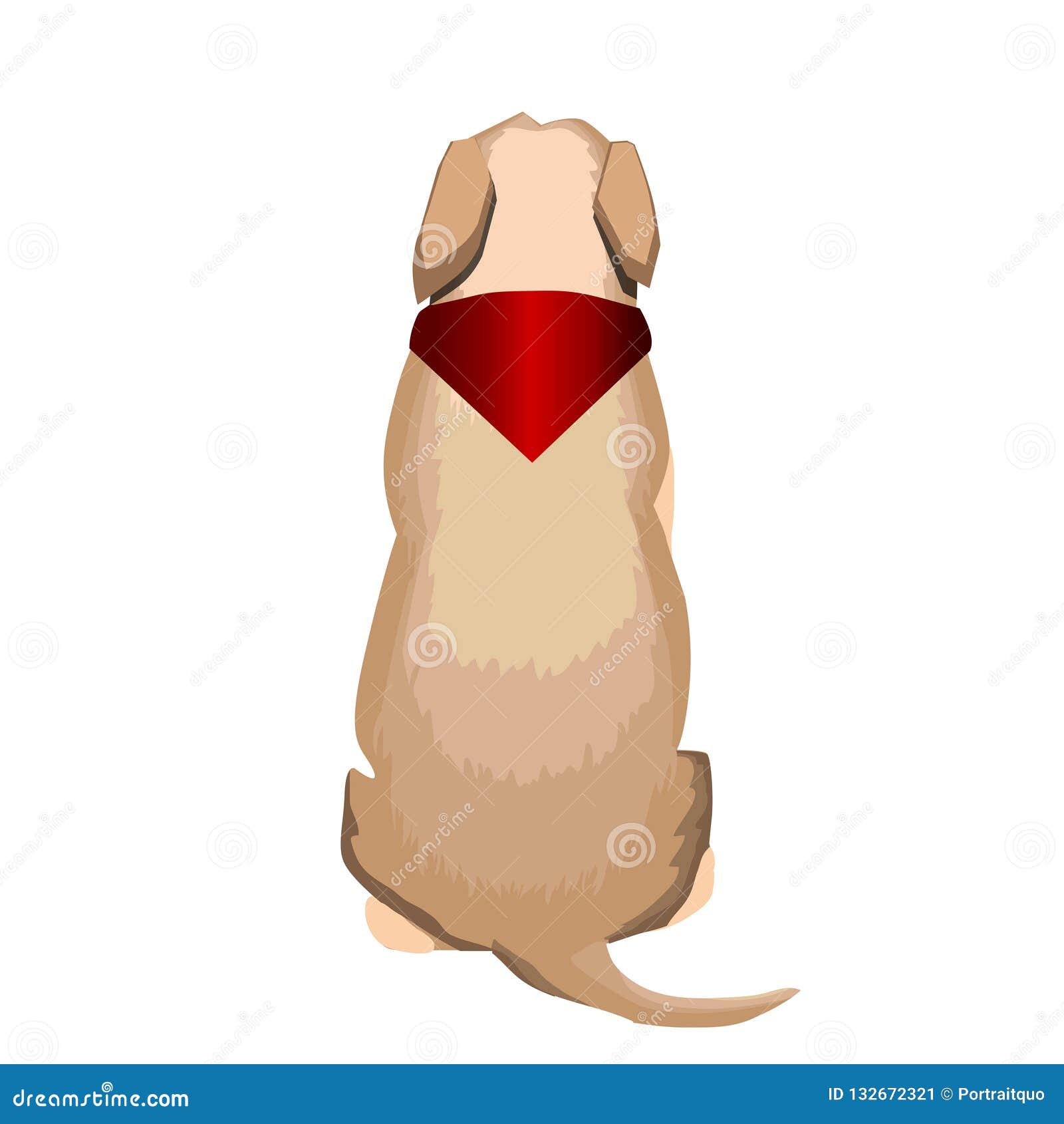 Labrador Sitting Back Isolated on White Background Stock Vector ...