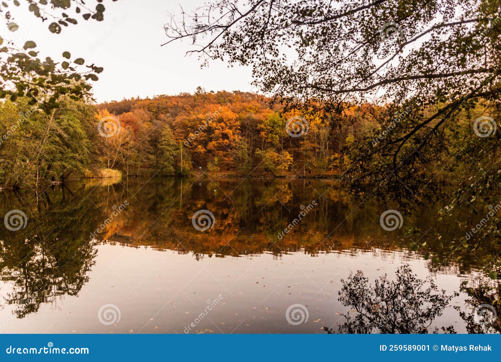 Labut Pond in Prague, Czech Republ Stock Image - Image of lake ...