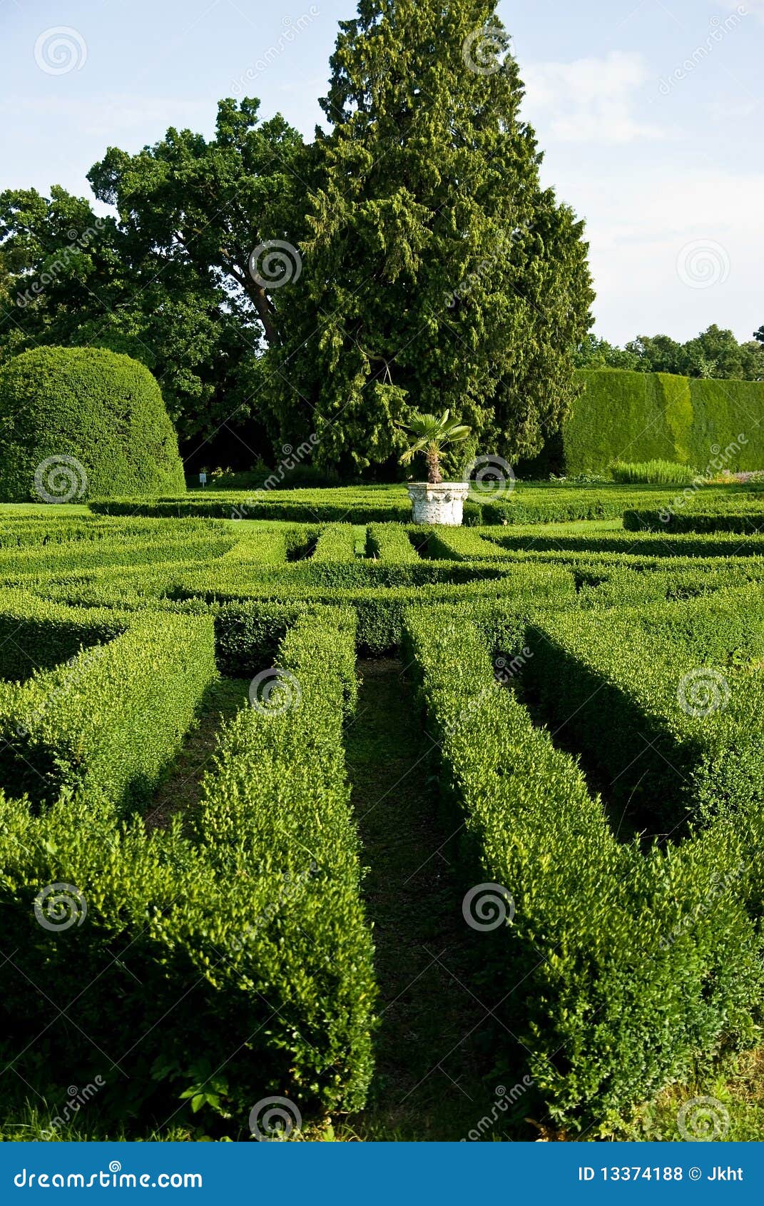 Labyrinth stock photo. Image of bush, nature, park, light - 13374188