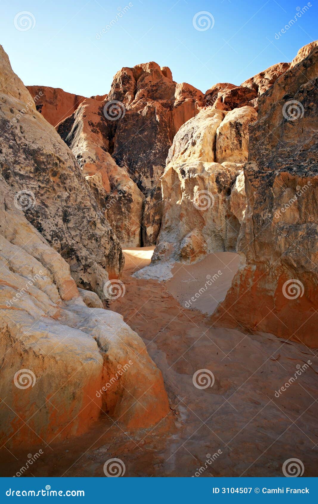 The Labyrinth stock image. Image of nature, landscape - 3104507