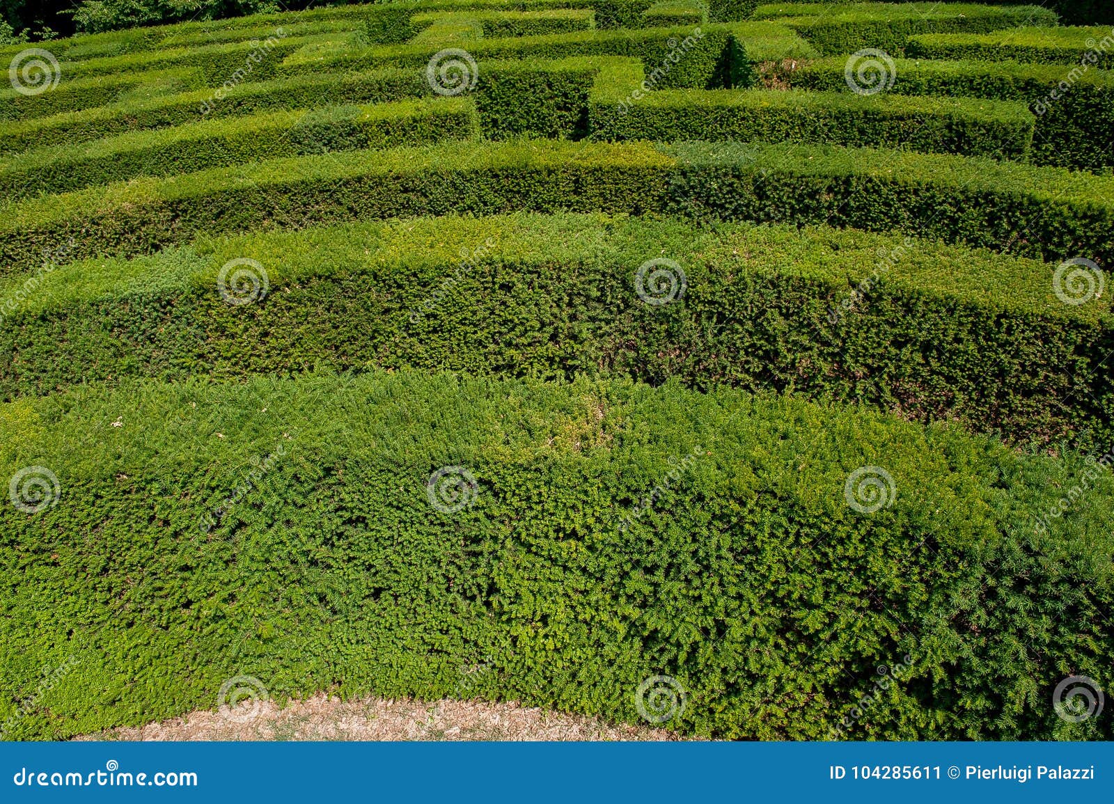 Labyrinth stock image. Image of europe, bush, botany - 104285611