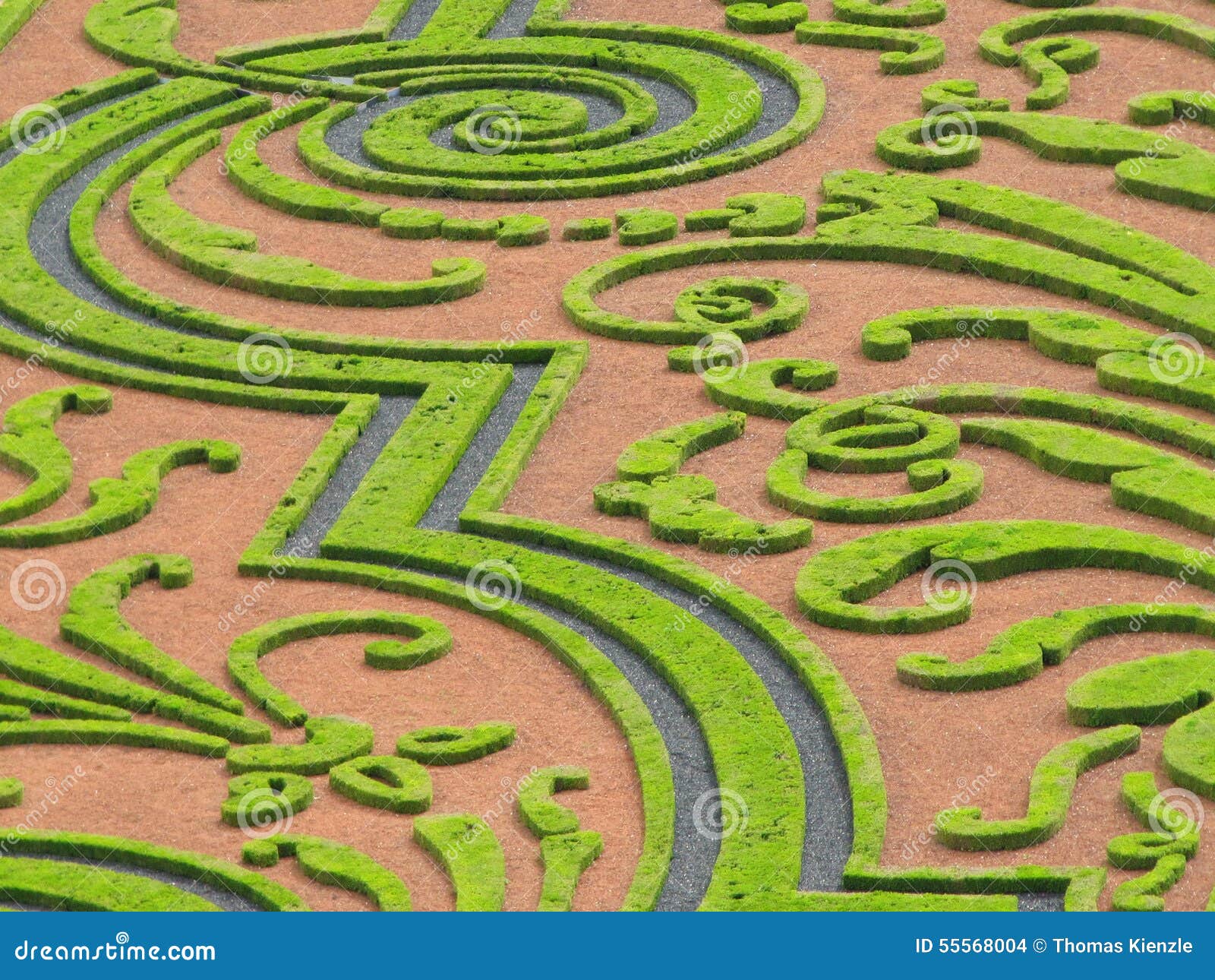 Labyrinth stock photo. Image of hedge, compass, french - 55568004