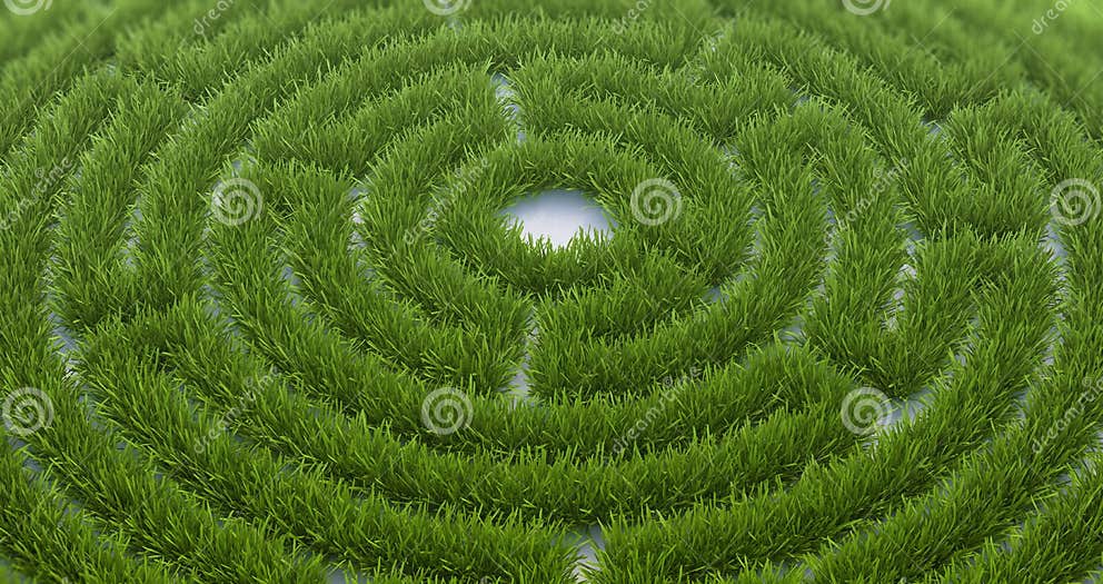 Labyrinth grass stock image. Image of labyrinth, ornamental - 42432677