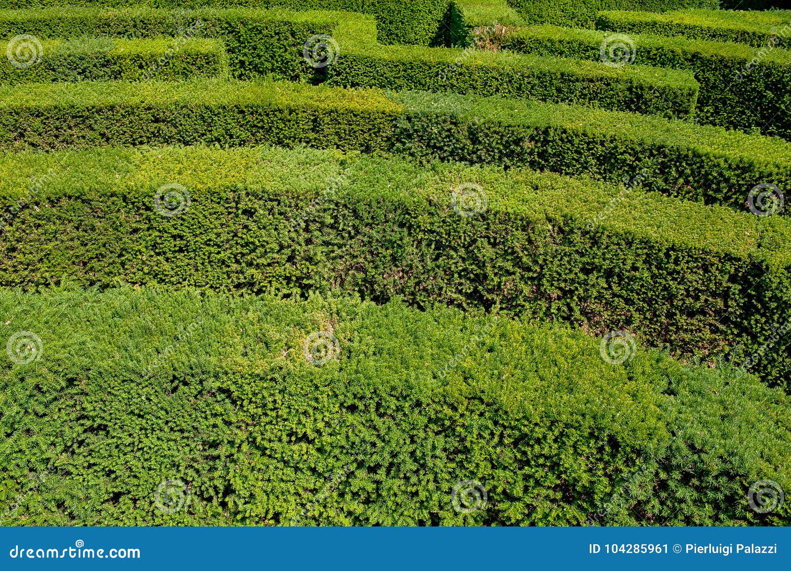 Labyrinth stock image. Image of green, gardening, safe - 104285961