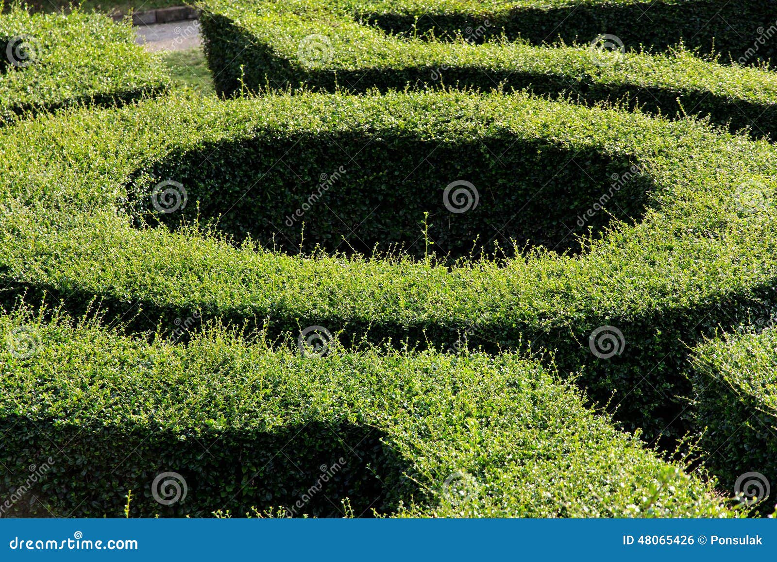 Labyrinth maze stock photo. Image of classic, maze, nature - 48065426
