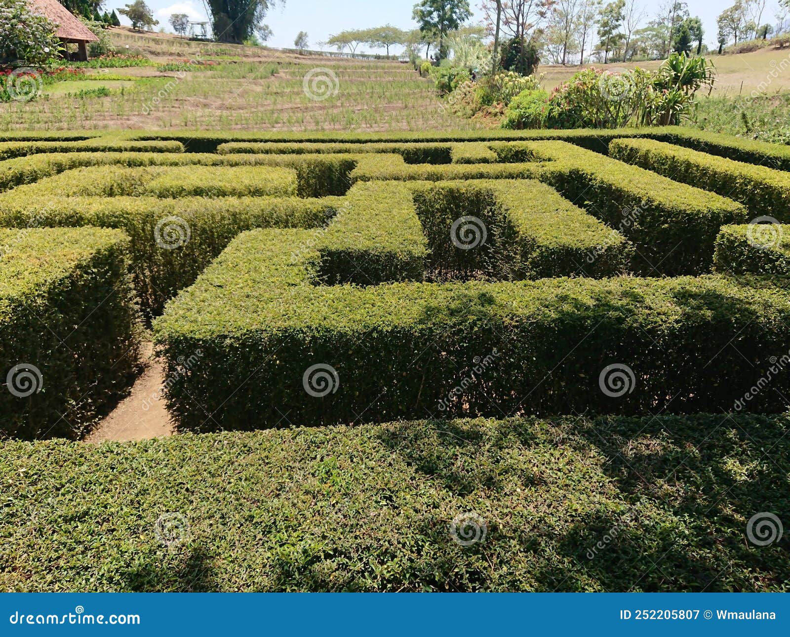 Labyrinth playground stock image. Image of path, nature - 252205807