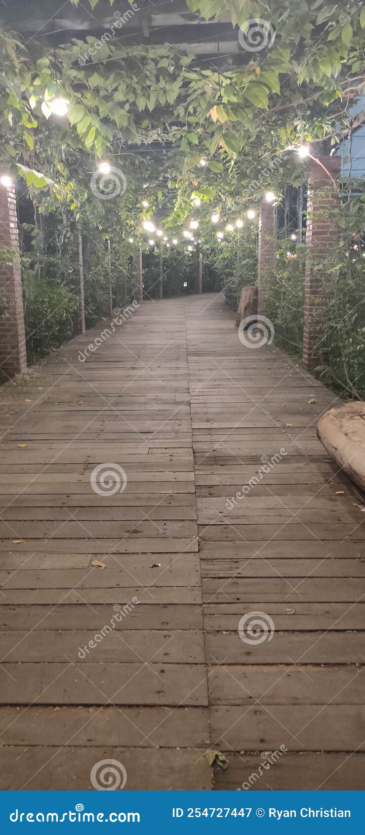 Labyrinth Road with Light at Night Stock Image - Image of light, road ...