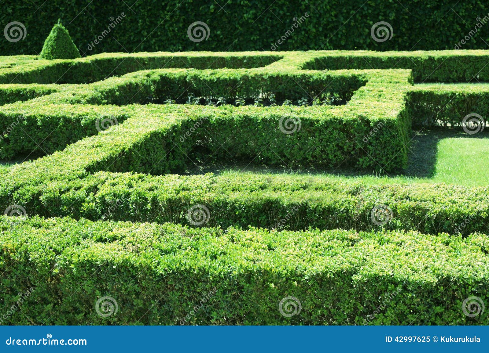 Bush Labyrinth Royalty-Free Stock Photography | CartoonDealer.com #7247135