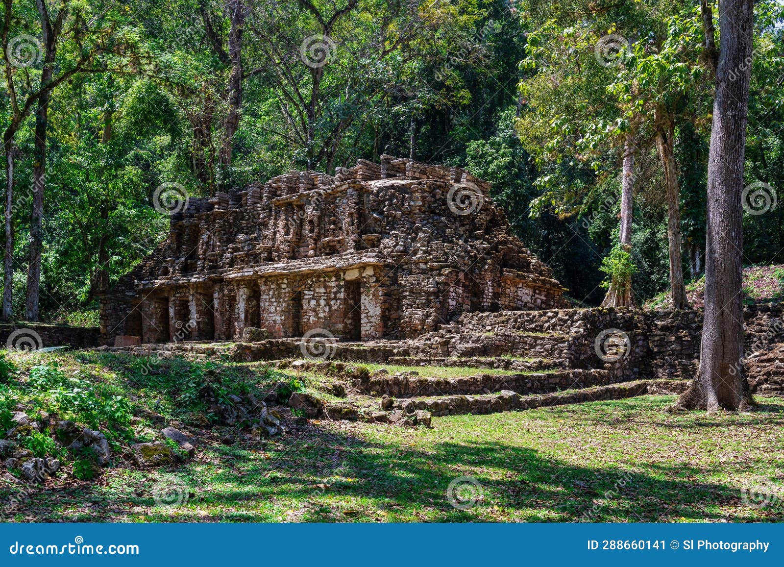 Labyrinth Structure 19, Yaxchilan, Mexico Stock Image - Image of copy ...
