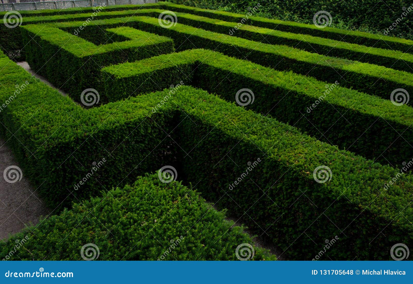 Labyrinth Und Labyrinth Im Schonbrunn-Palastgarten Redaktionelles ...