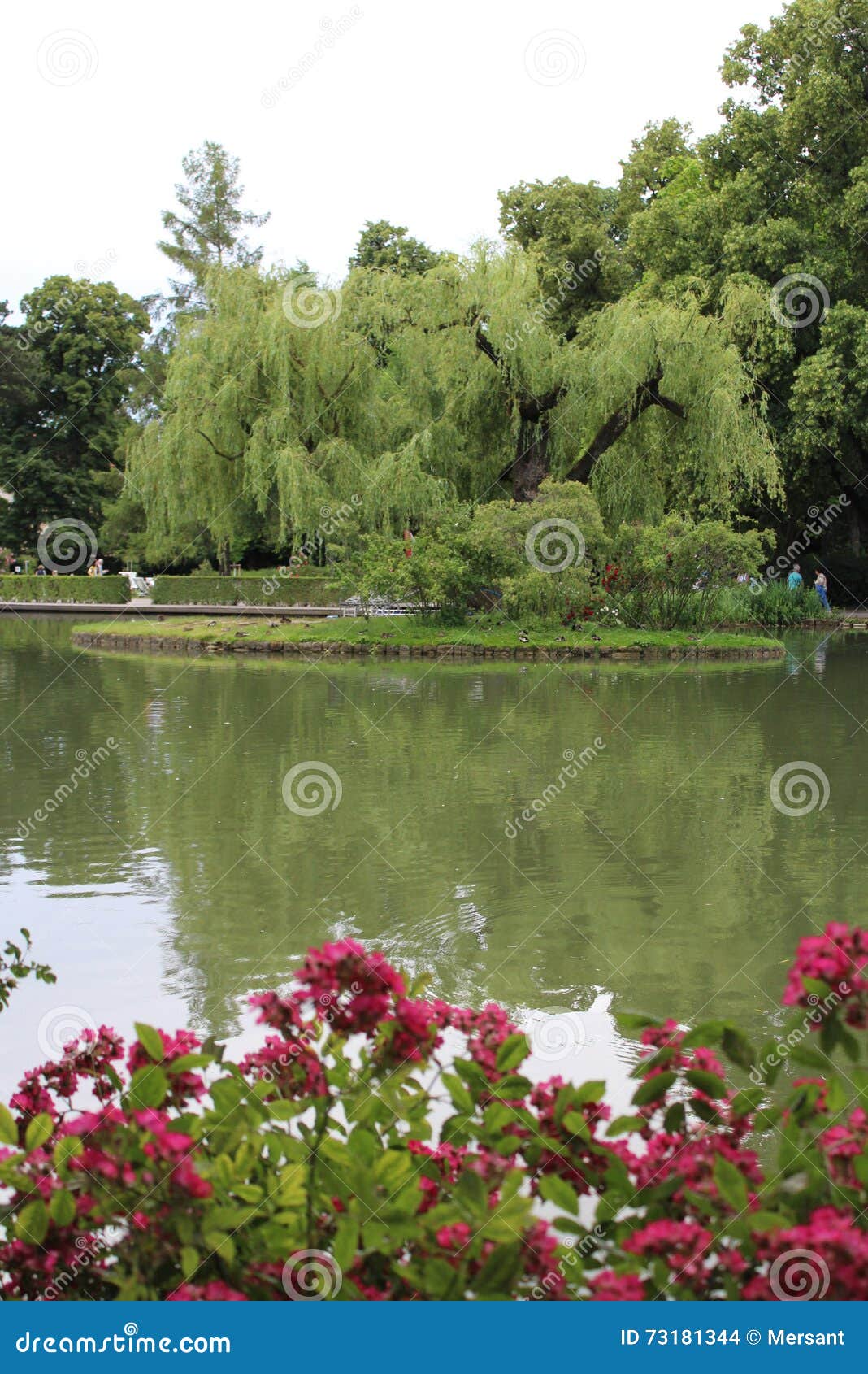 Lac image stock éditorial. Image du normal, vert, baden - 73181344