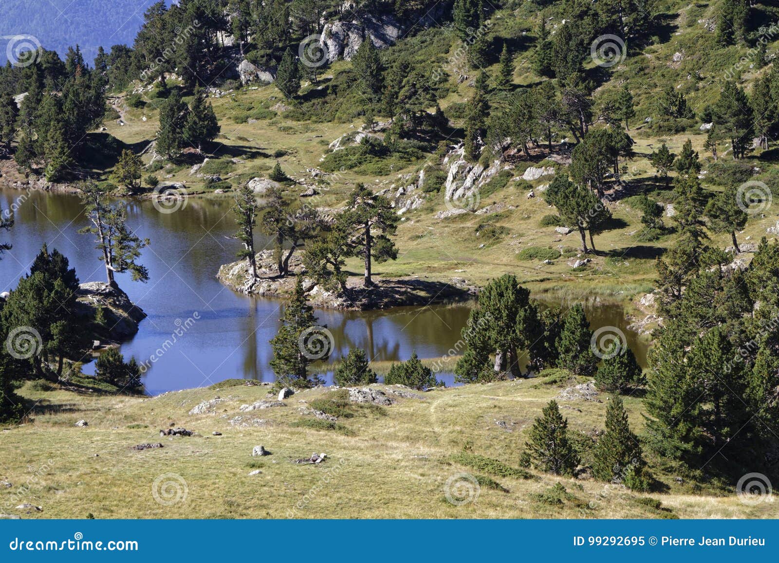 Lac Achard in Chamrousse stock image. Image of tree, rock - 99292695