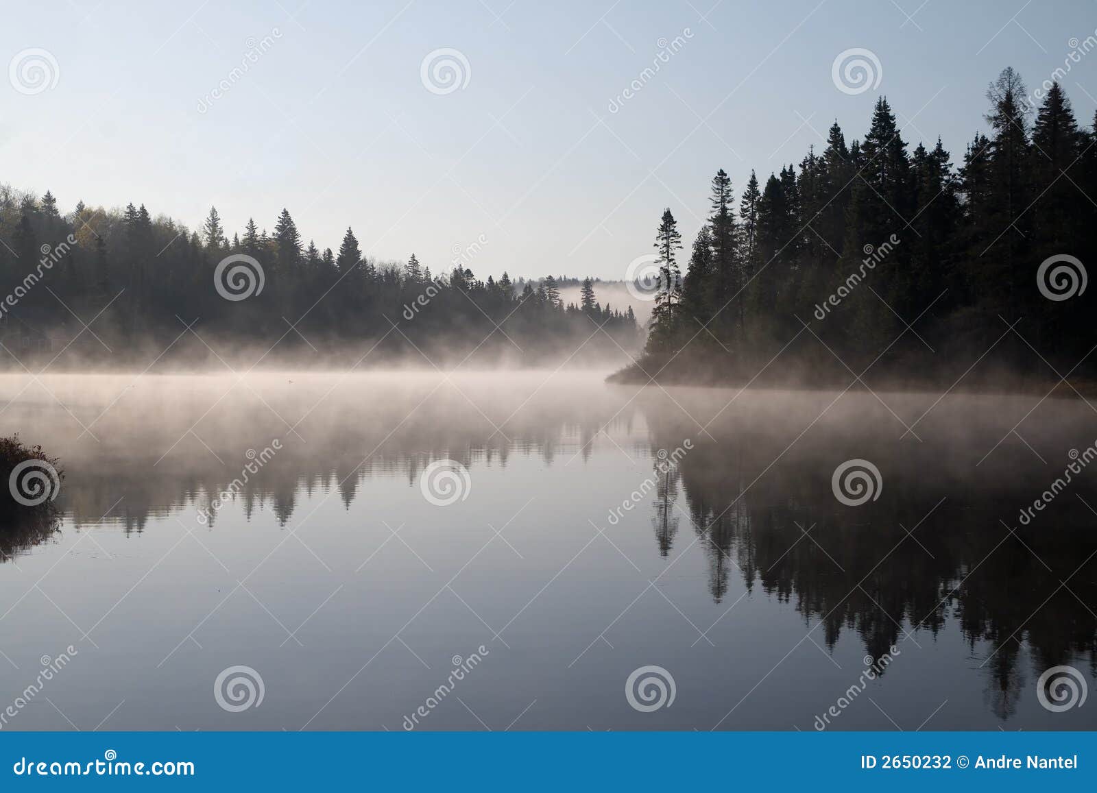 Lac brumeux photo stock. Image du matin, arbres, toujours - 2650232