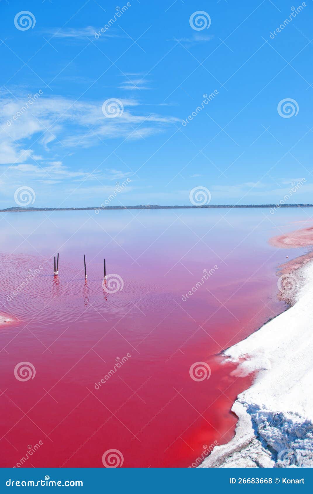 Lac Rose, Australie Occidentale Photo stock - Image du différent, rose ...