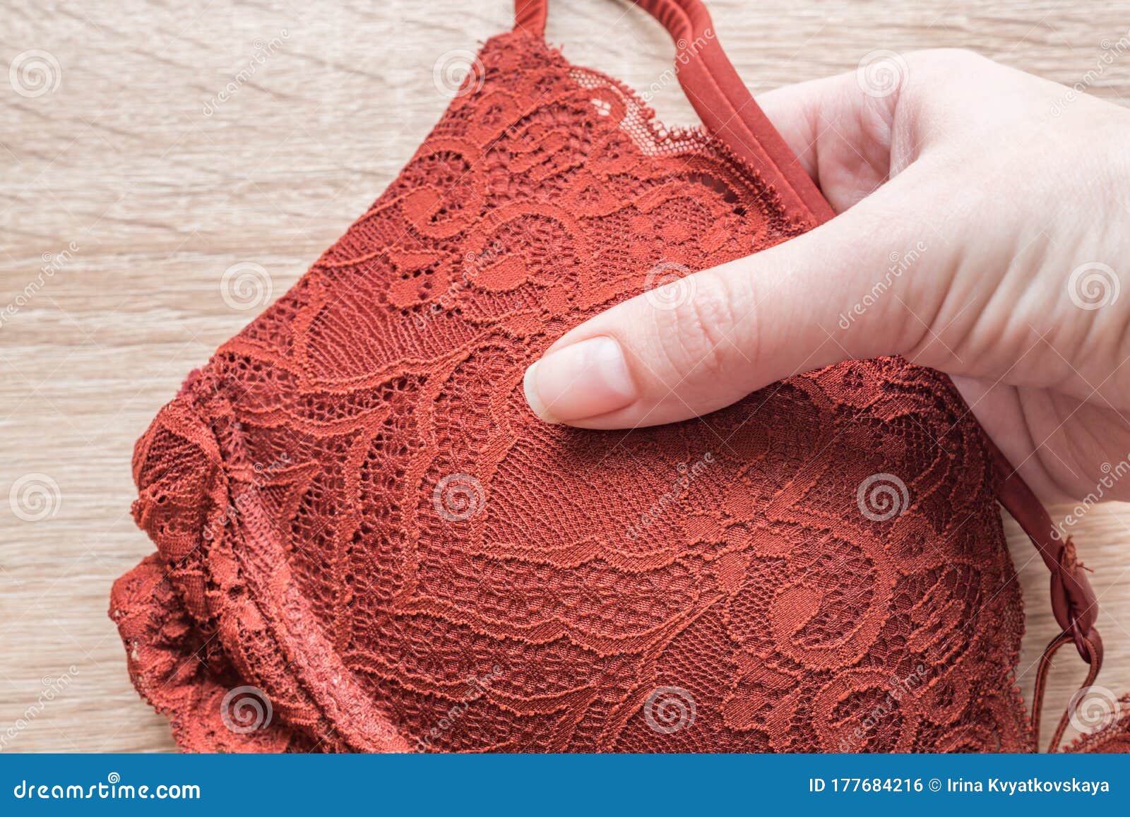 Lace bra in woman hand stock photo. Image of stylish - 177684216